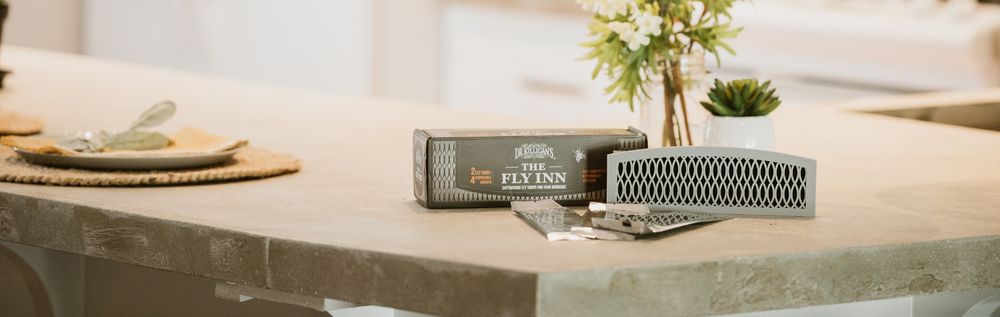 6 essential tips for selecting the best indoor fly control solution