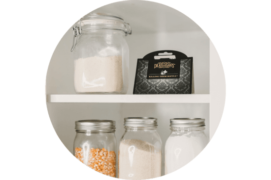 Dr. Killigan's Insect Combat Kit