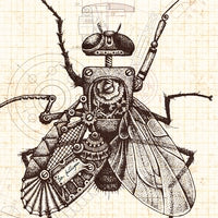 The Fly Inn | Indoor Flying Insect Traps | Dr. Killigan's