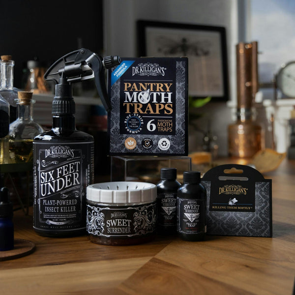 Bog spiders in cranberry bogs: Are they dangerous?