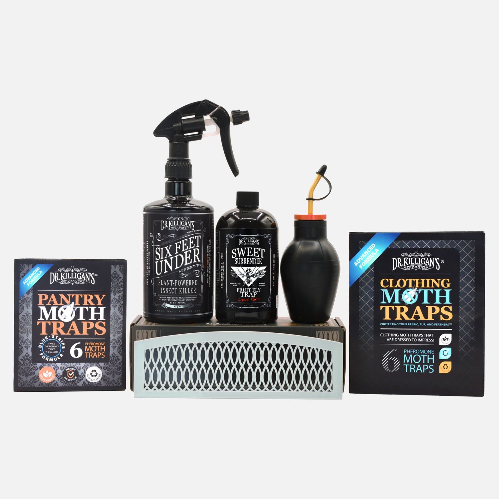 Bog spiders: Unveiling cranberry swamp mysteries | Dr. Killigan's insights